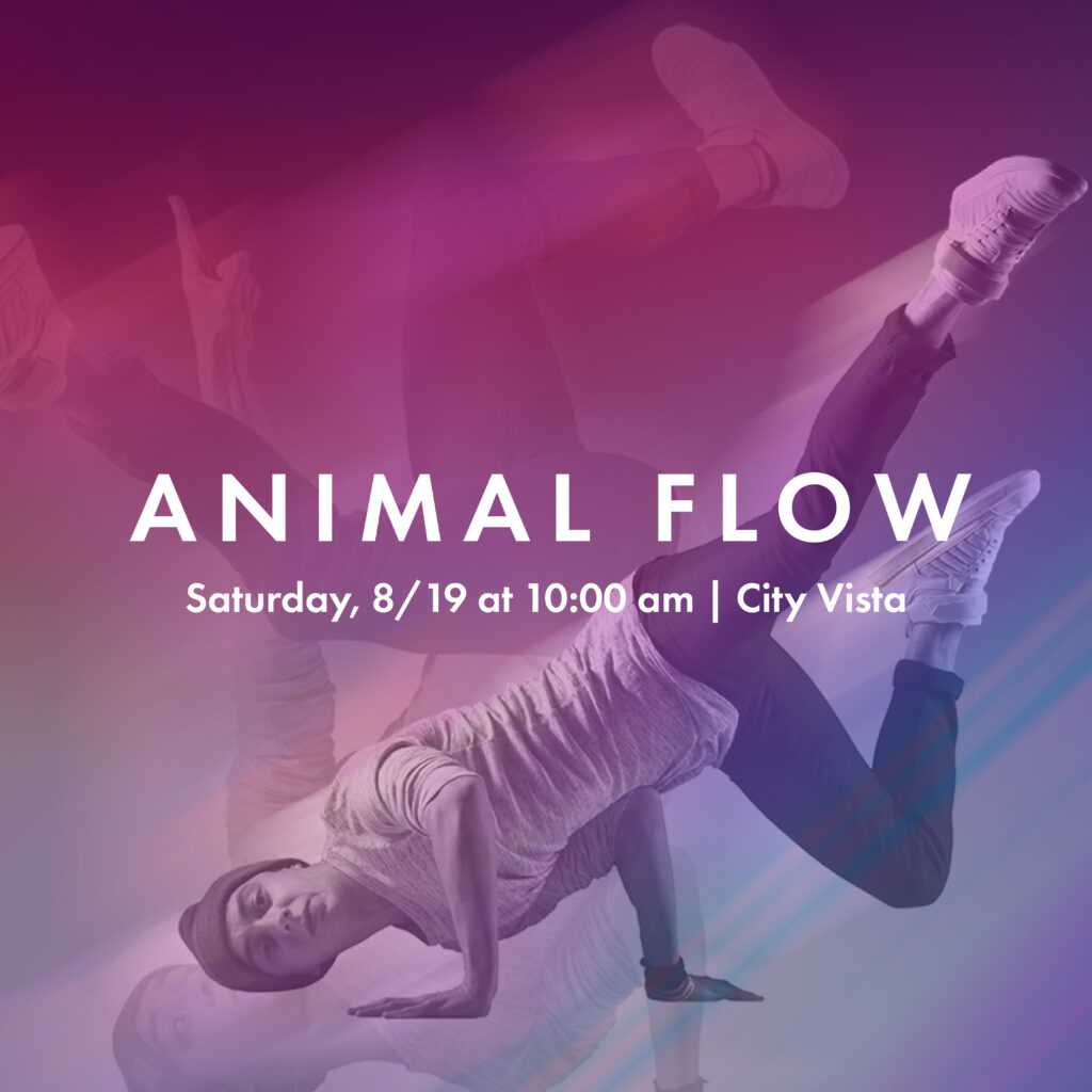 Animal Flow Workshop - Mount Vernon Triangle CID
